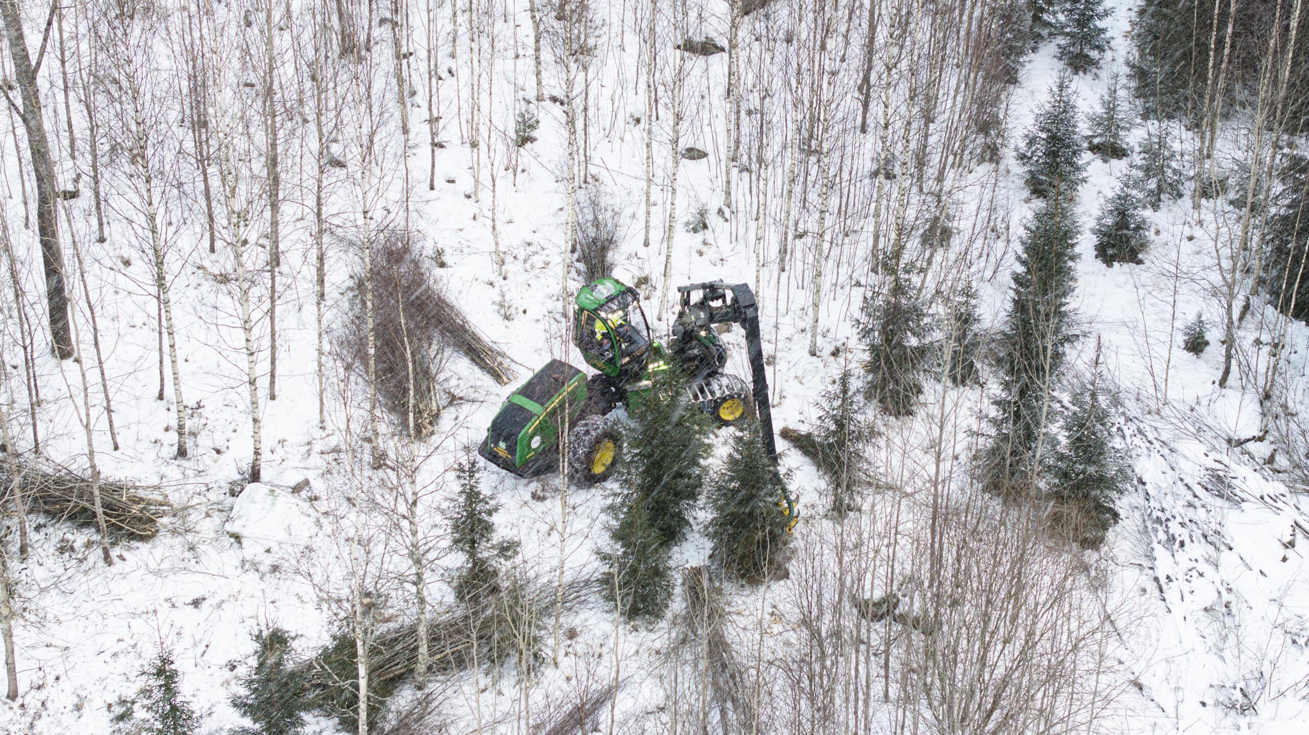 Metsänomistajan verotus - muista nämä | Kumeko Group Oy